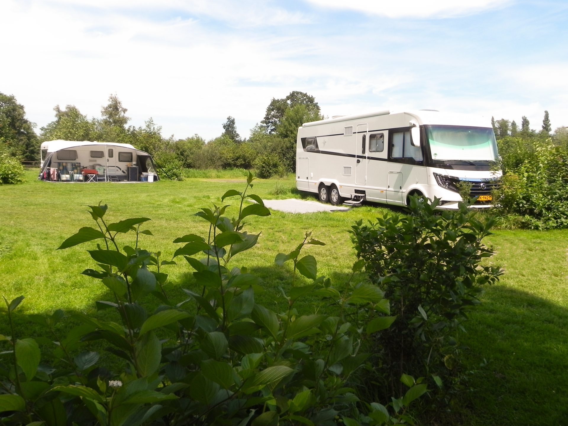 Camping De Oldenhove - Veld C ruim opgezet met veel zon